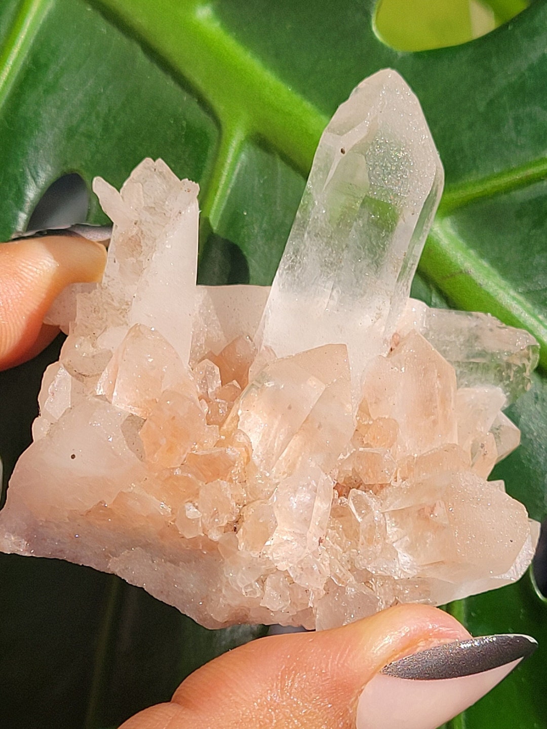 Stunning Pink Himalayan Quartz Cluster From the Himalayan Mountains ...