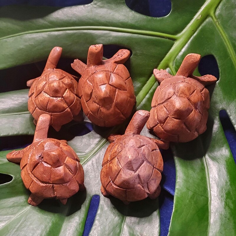 Carved Turtle - Etsy
