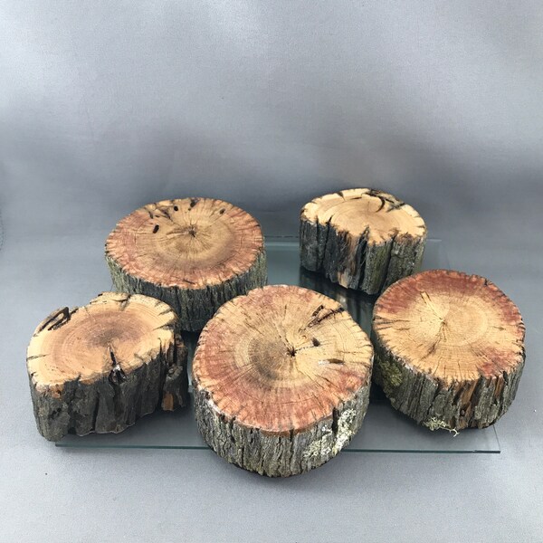 Live Edge Wood Riser - Etsy