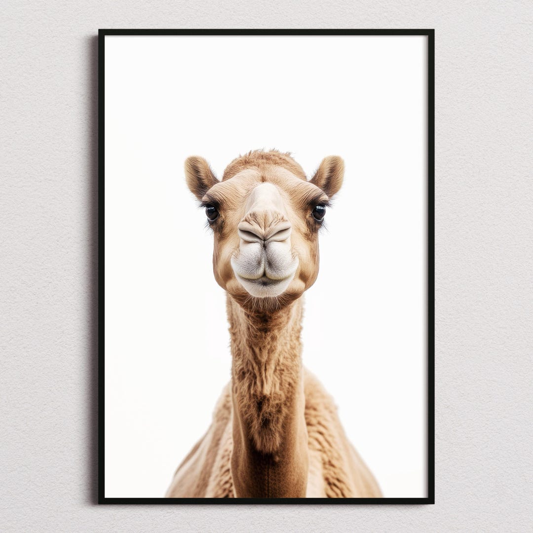 Camel Print, Camel Poster, Camel Wall Art, Camel Art Print, Camel Photo ...