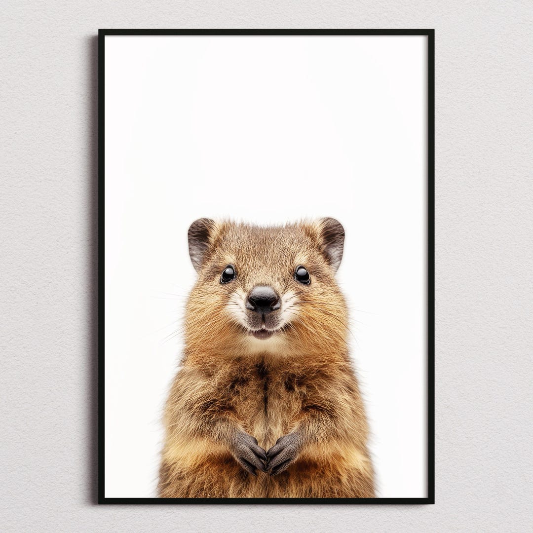 Quokka Print, Quokka Poster, Quokka Wall Art, Quokka Art Print, Quokka ...