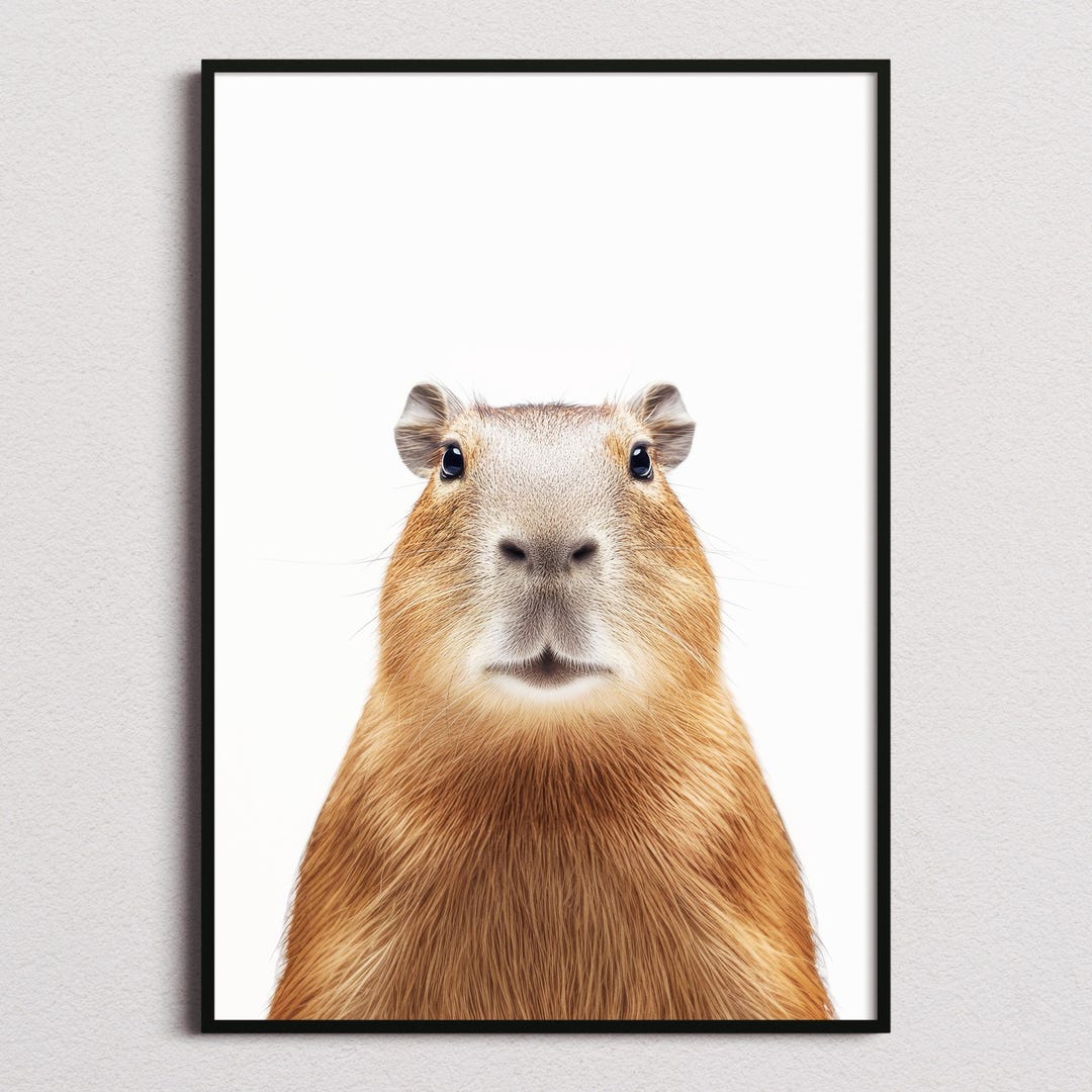 Capybara Print, Capybara Poster, Capybara Wall Art, Capybara Art Print ...