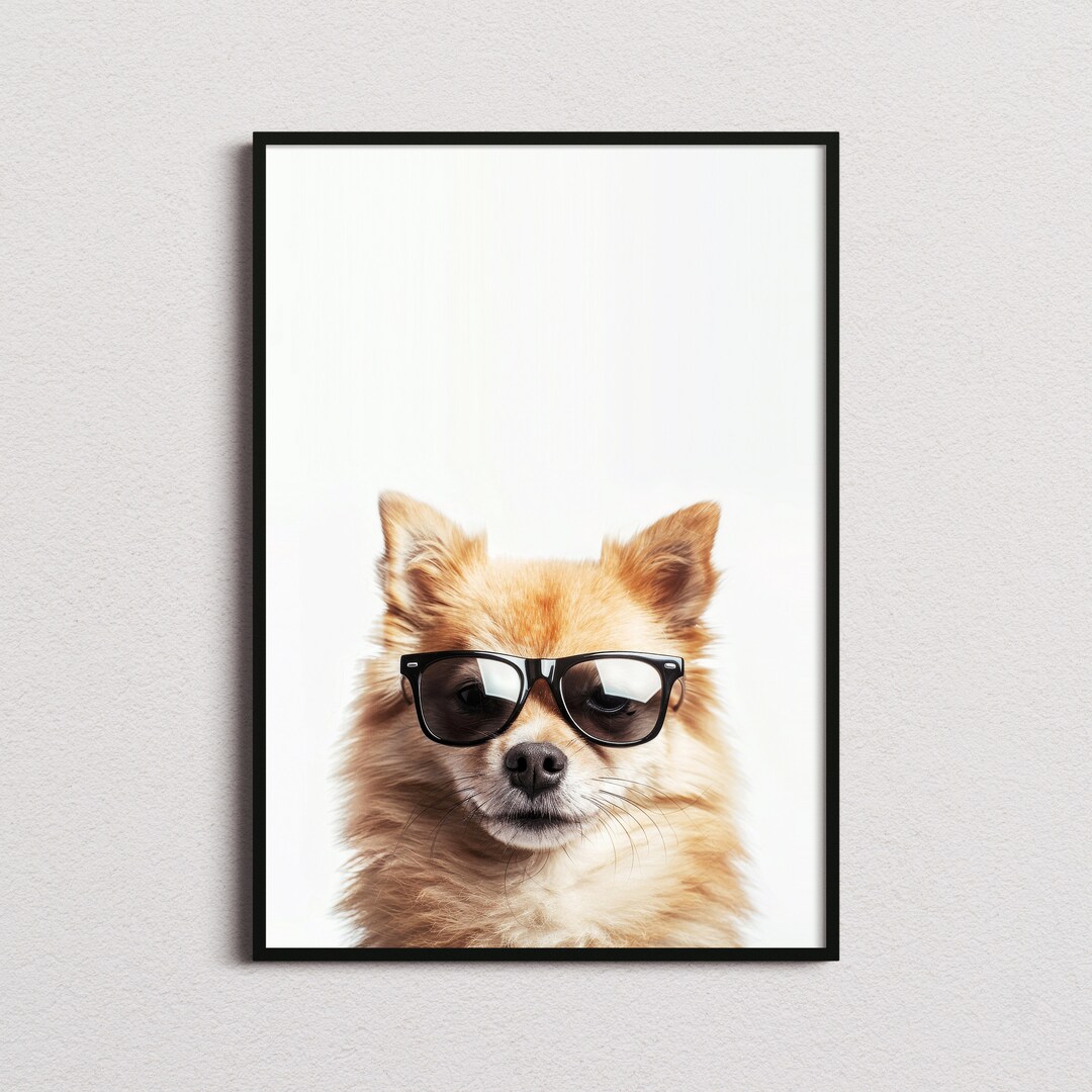 Pomsky in Sunglasses Print, Pomsky Dog Print, Pomsky Dog Poster, Funny ...