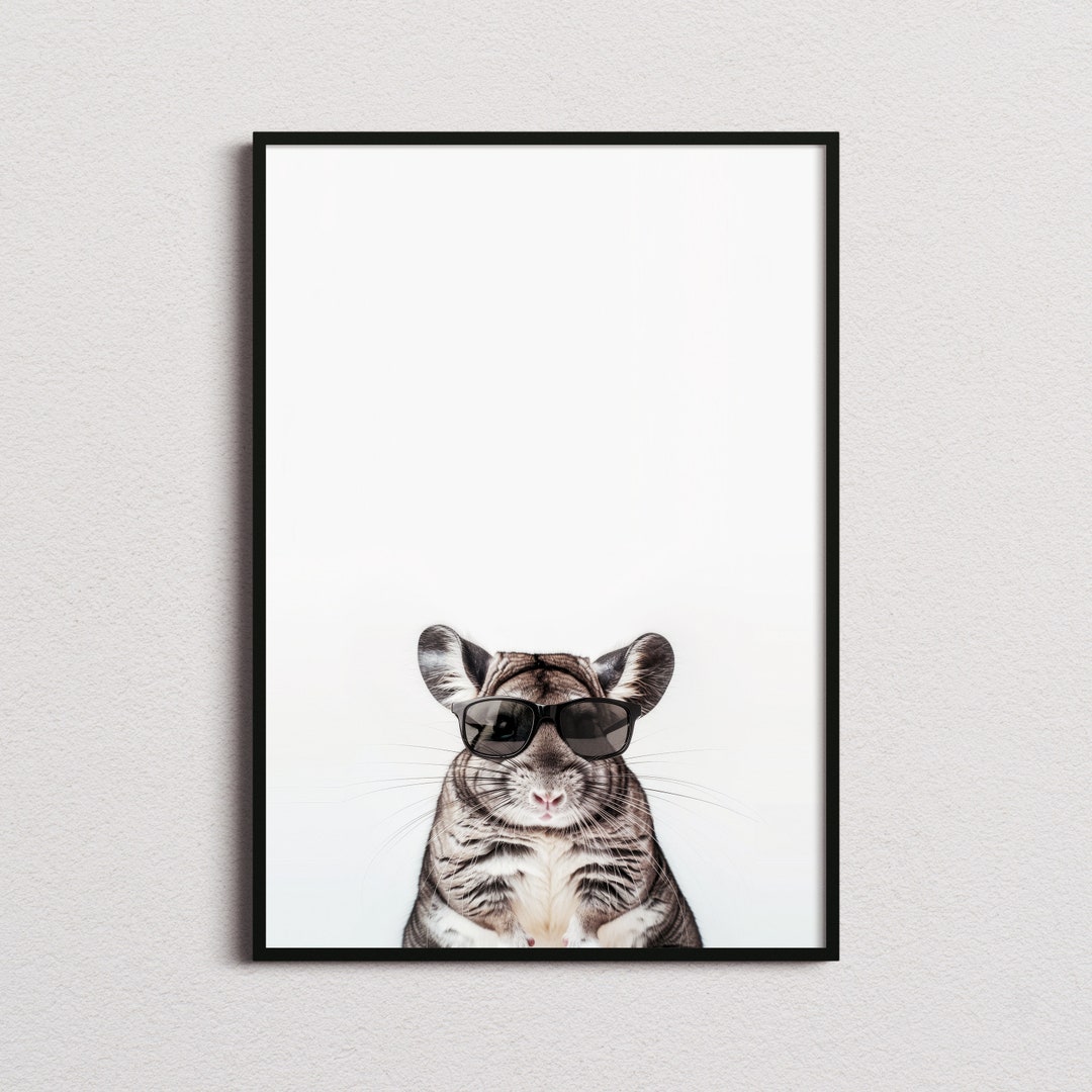 Chinchilla in Sunglasses Print, Chinchilla Print, Chinchilla Poster ...