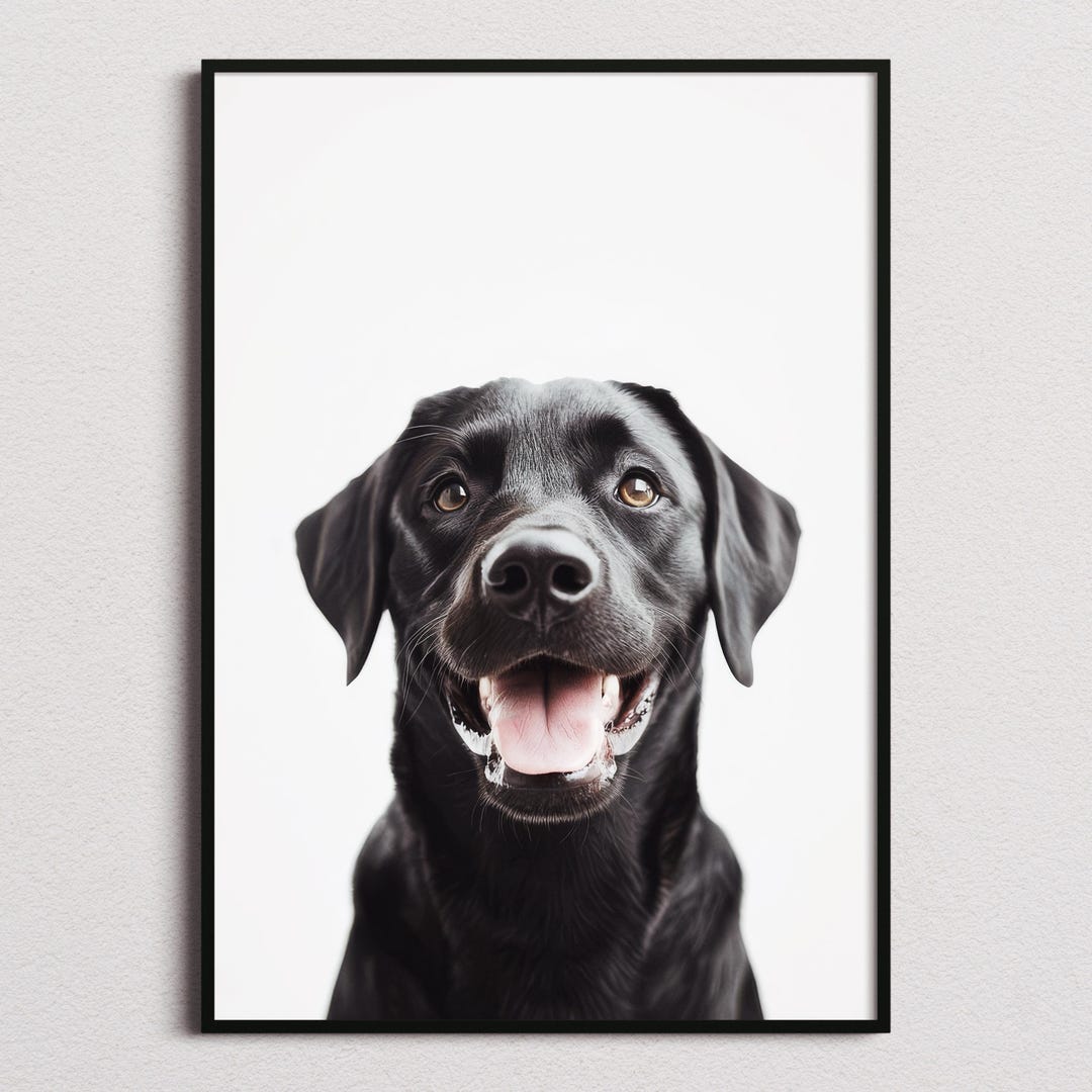 Black Labrador Print, Black Lab Print, Black Labrador Poster, Black Lab ...