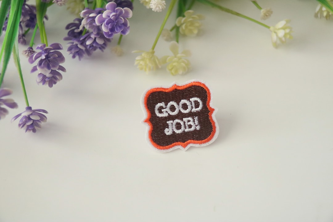 Good Job Patch, Word Patch, Iron on Patch, Embroidered Patch, Funny ...