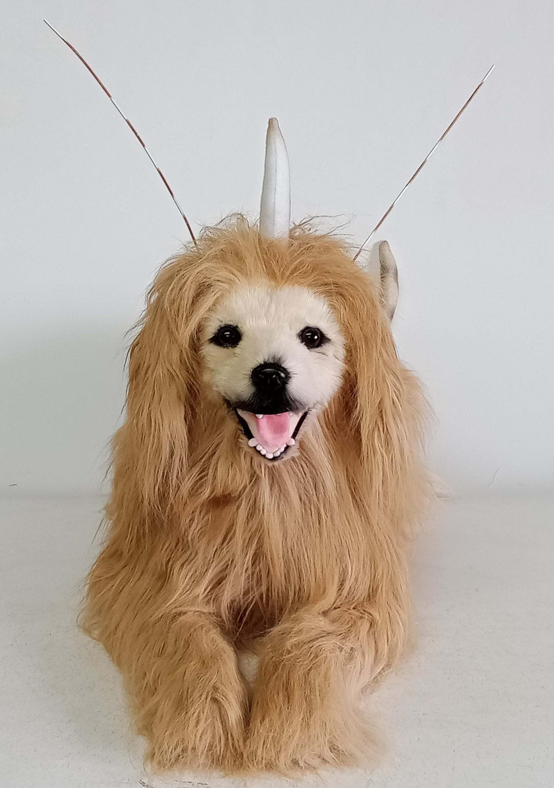 Star Trek Canis Alpha Plush: "enemy Within" Collectible Toy - Etsy