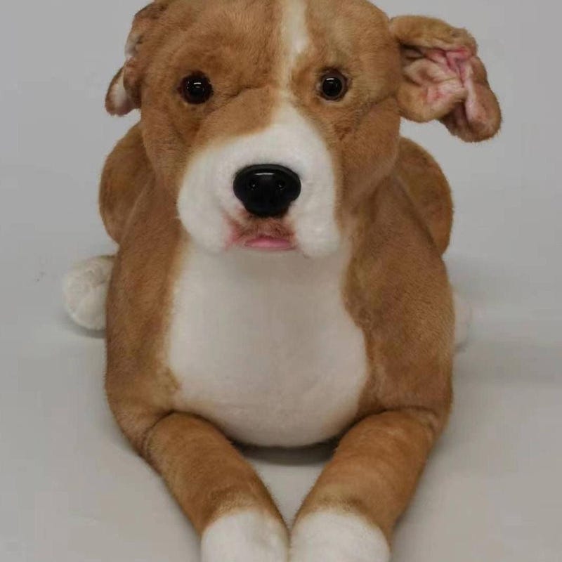 Realistic Stuffed Dogs - Etsy