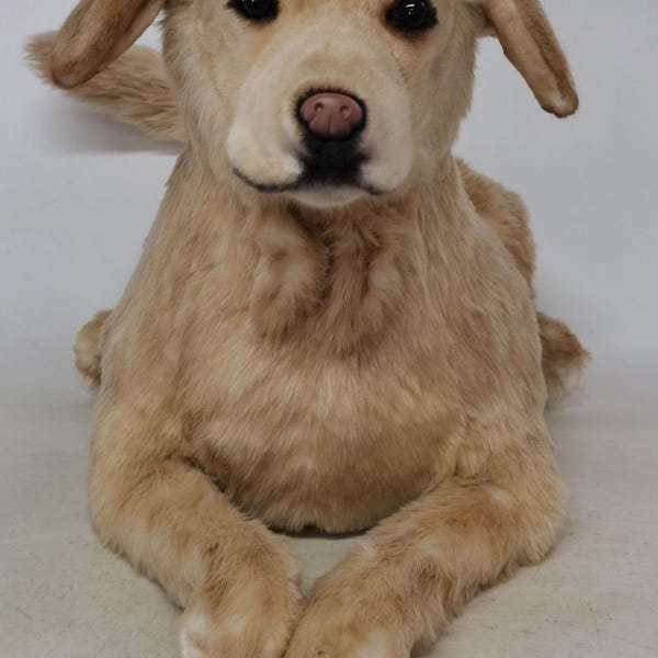 Realistic Stuffed Dogs - Etsy