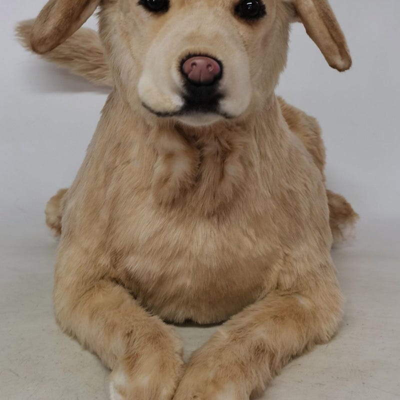 Realistic Stuffed Dogs - Etsy