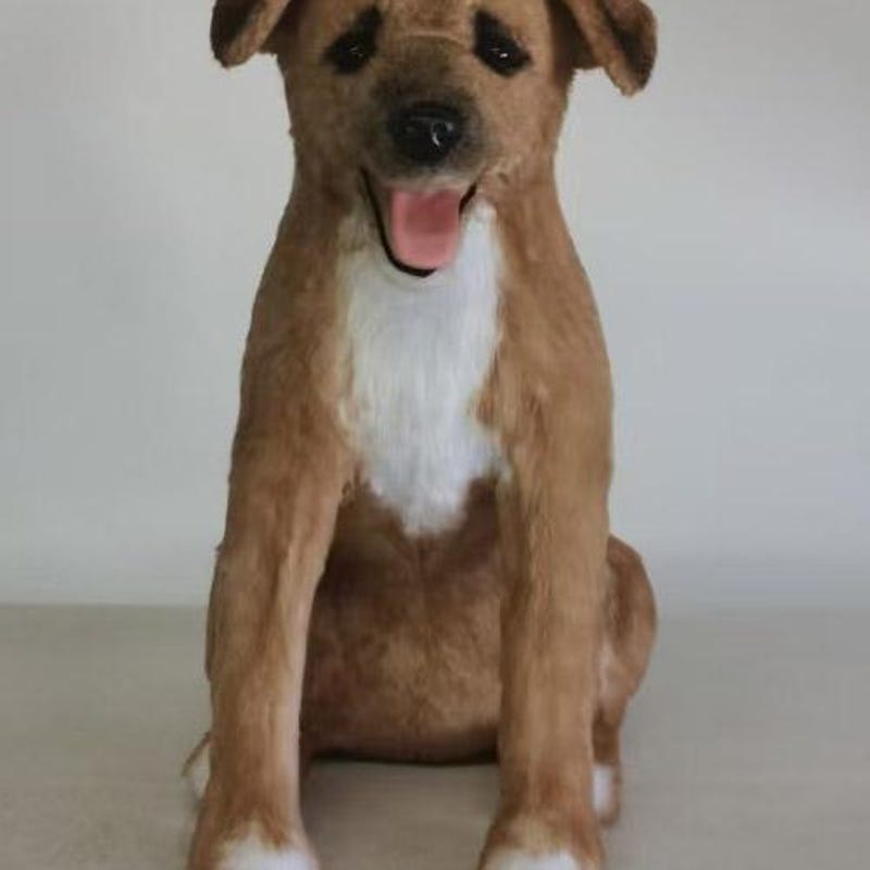Realistic Stuffed Dogs - Etsy