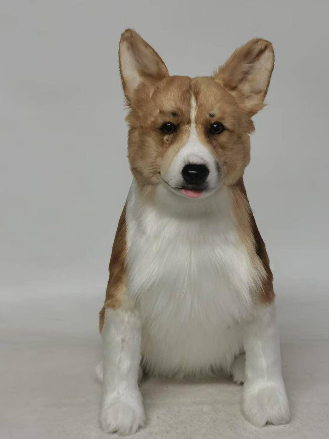 Dragonmoss Realistic 22 Inch Plush Dogs Already Made Not a Custom - Etsy