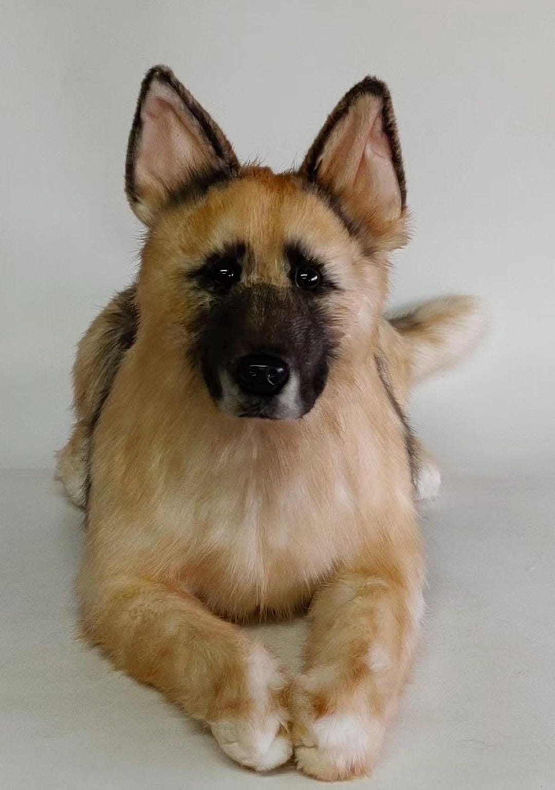 Dragonmoss - Realistic 22 Inch Plush Dogs - Already Made - Not a Custom ...