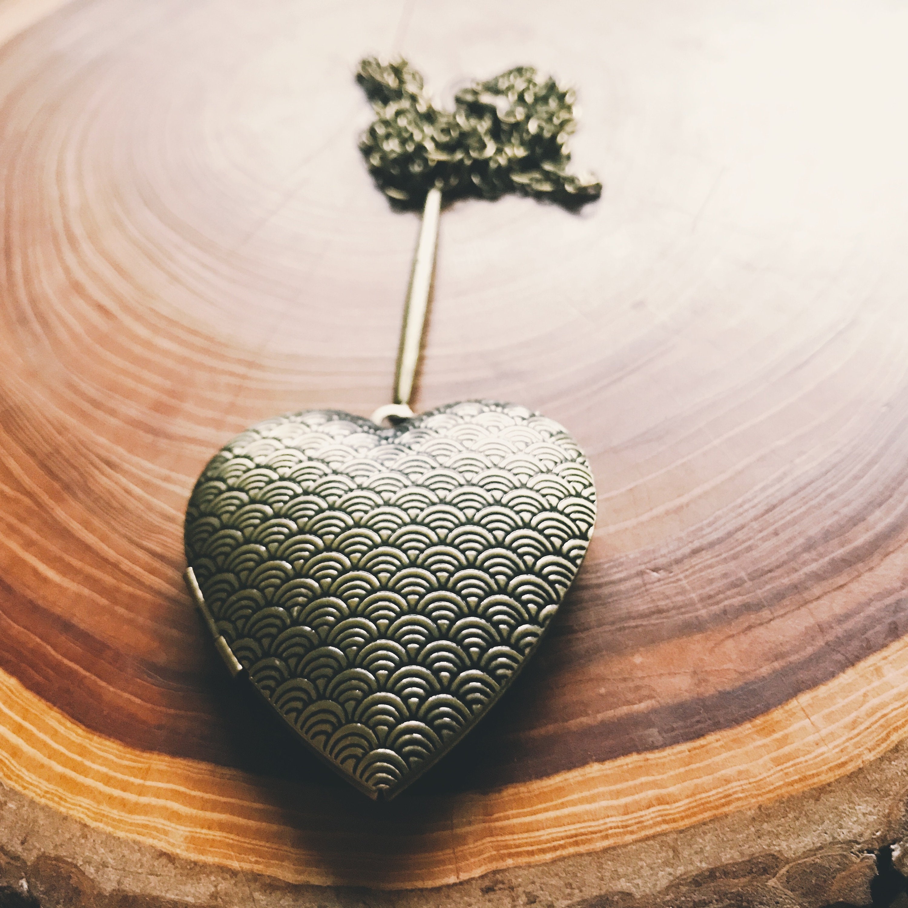 Long Locket Necklace Large Heart Locket Antique Brass | Etsy