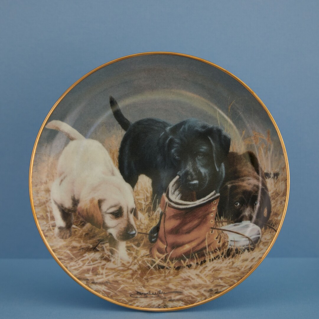 Franklin Mint Vintage Plate labrador - Etsy