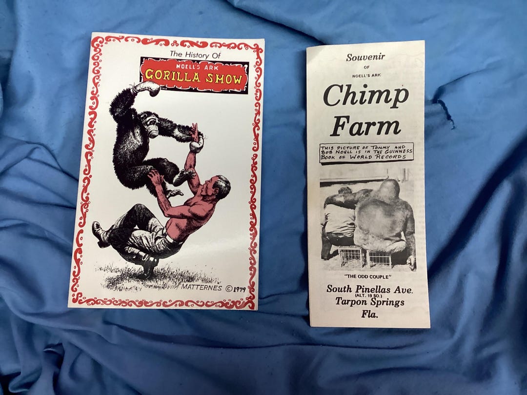 Noell’s Ark Gorilla Show and Chimp Farm Collection; Tarpon Springs ...