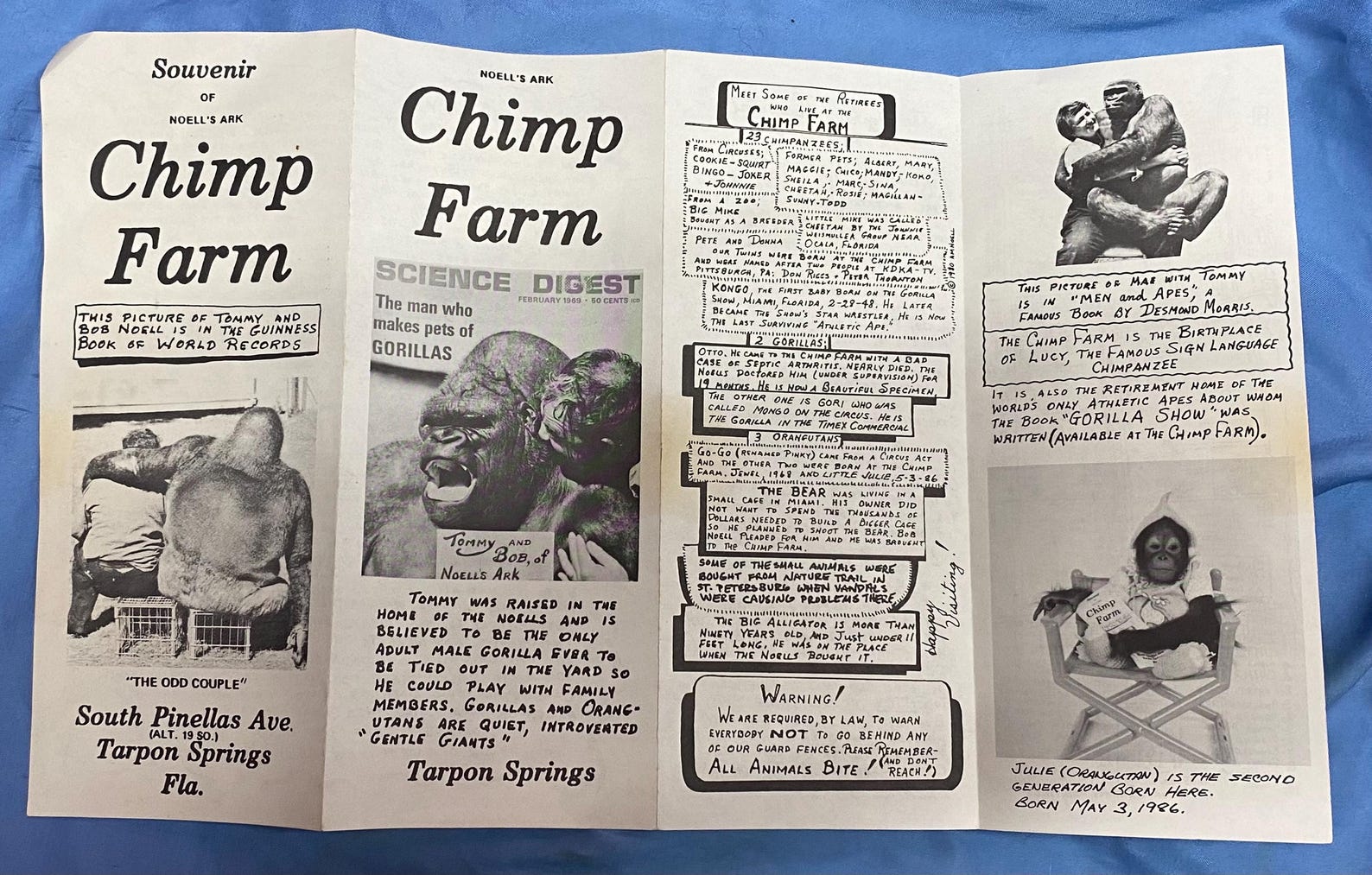 Noell’s Ark Gorilla Show and Chimp Farm Collection; Tarpon Springs ...