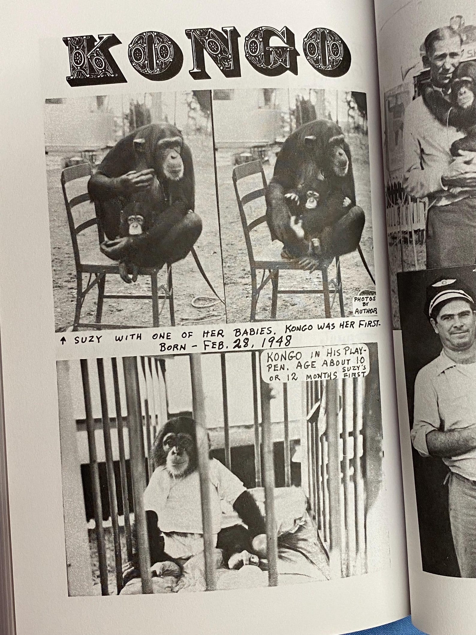 Noell’s Ark Gorilla Show and Chimp Farm Collection; Tarpon Springs ...