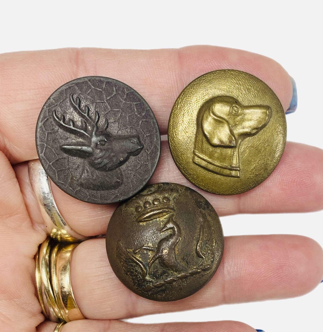 Antique Pictorial Button Lot, Dog, Griffin, Stag, Metal Shank Buttons ...