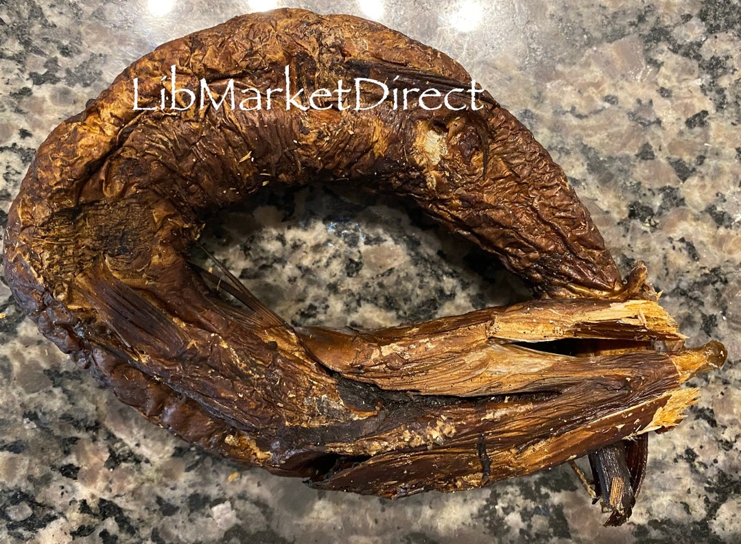 Dry Fish (pipe/small Barracuda) - Etsy