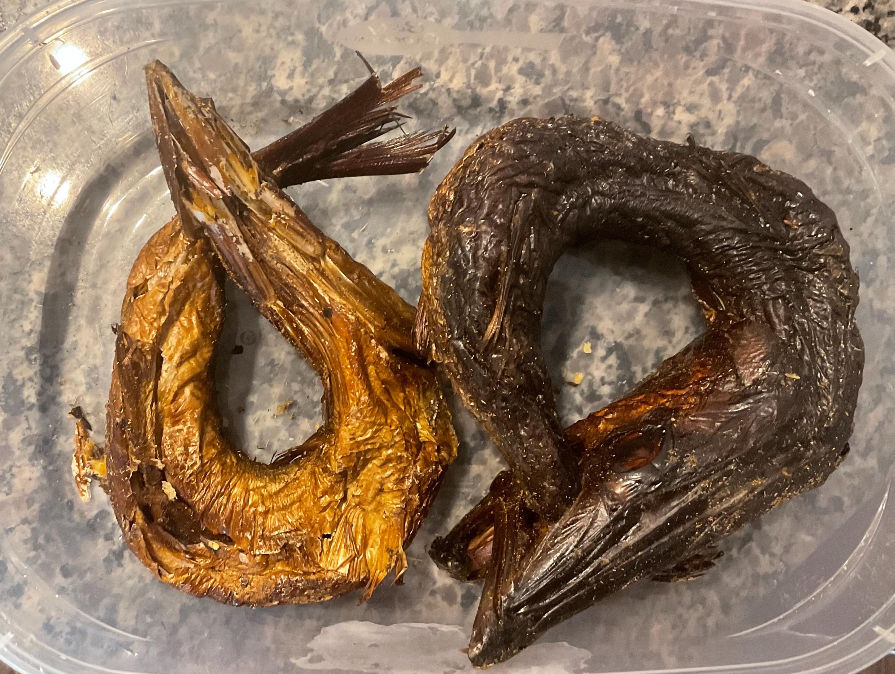 Dry Fish (pipe/small Barracuda) - Etsy