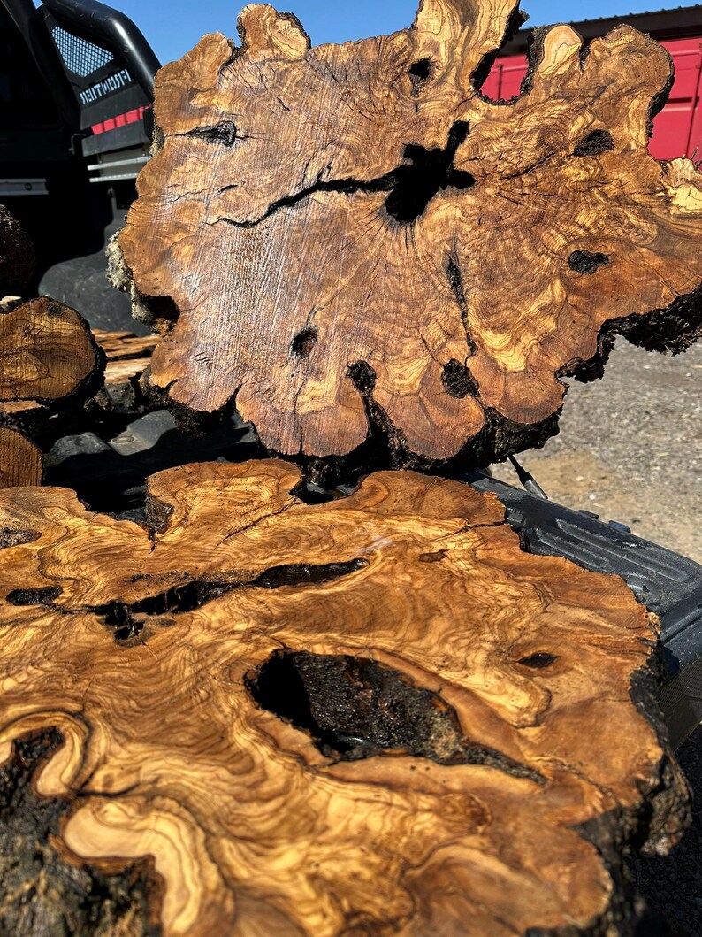 Large Dry Olive Wood Cookie for Live Edge Resin Coffee Side Tables ...