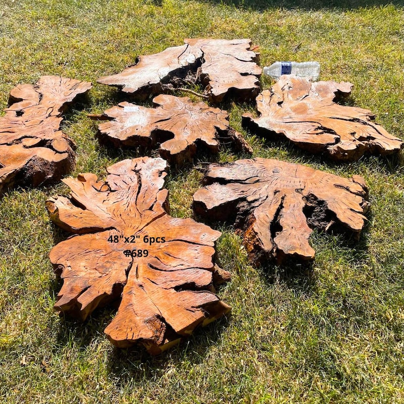 Olive Root Raw - Etsy