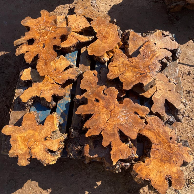 Small Live Edge Olive Wood Cookies Slabs for Crafting, Resin, Wood Art ...
