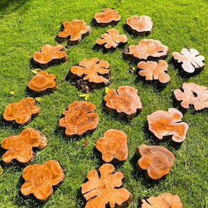 Small Live Edge Olive Wood Cookies Slabs for Crafting, Resin, Wood Art ...