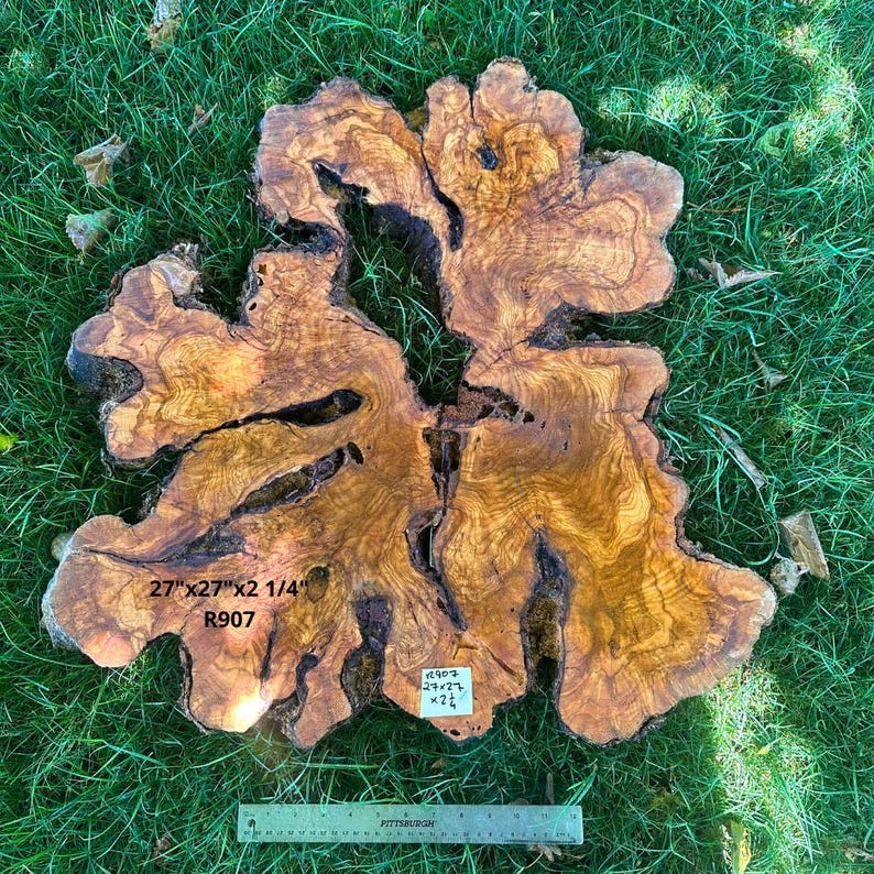 Premium USA Sourced Live Edge Olive Wood Cookie Slab - Etsy