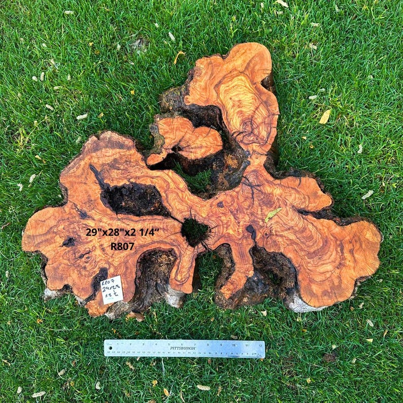Premium USA Sourced Live Edge Olive Wood Cookie Slab - Etsy