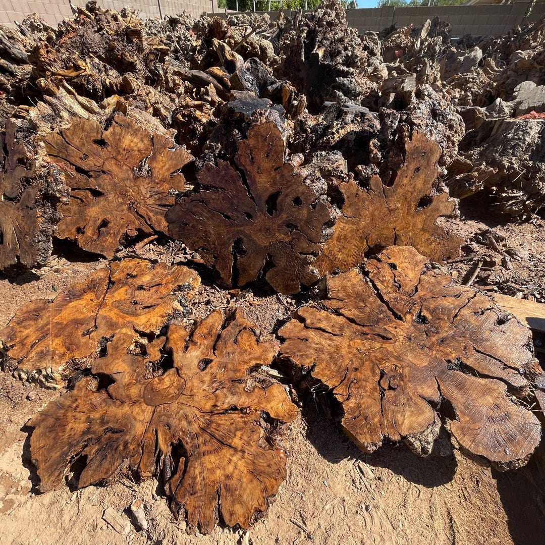 Live Edge Olive Wood Burl Cookies for Resin Tables and Crafting - Etsy