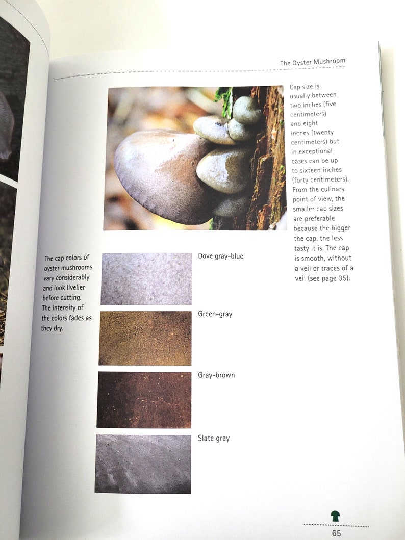 Mushrooming With Confidence Softbound Book by Alexander Schwab A Guide ...