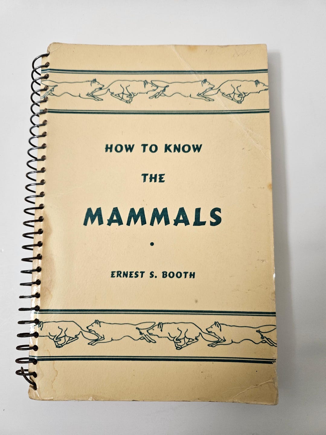 Vintage How to Know the Mammals Book by Ernest S. Booth Illustrated - Etsy
