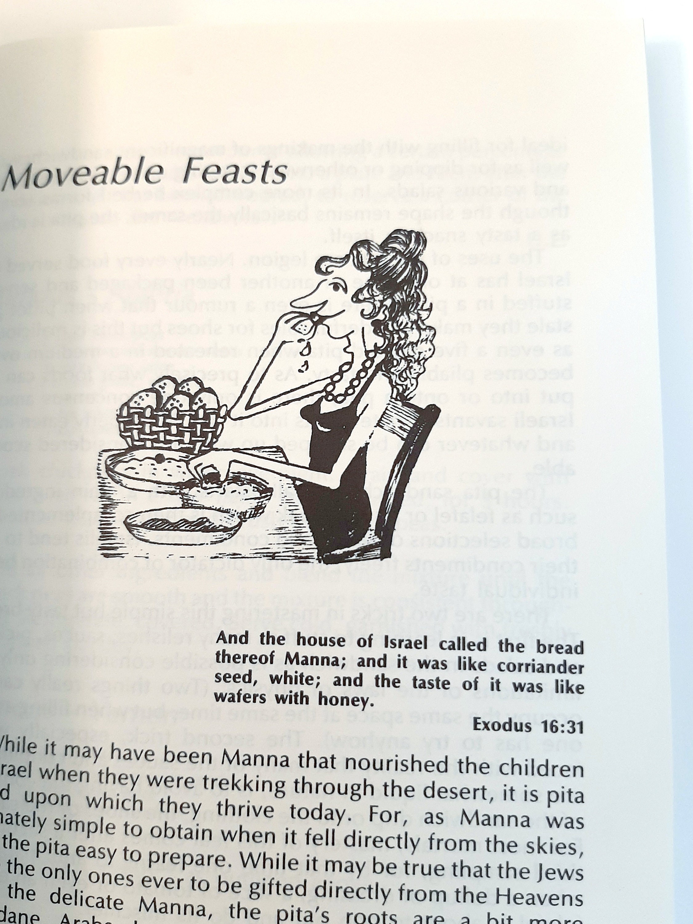 The Rogue's Guide to Israeli Cuisine Softbound Cookbook Daniel Rogov ...