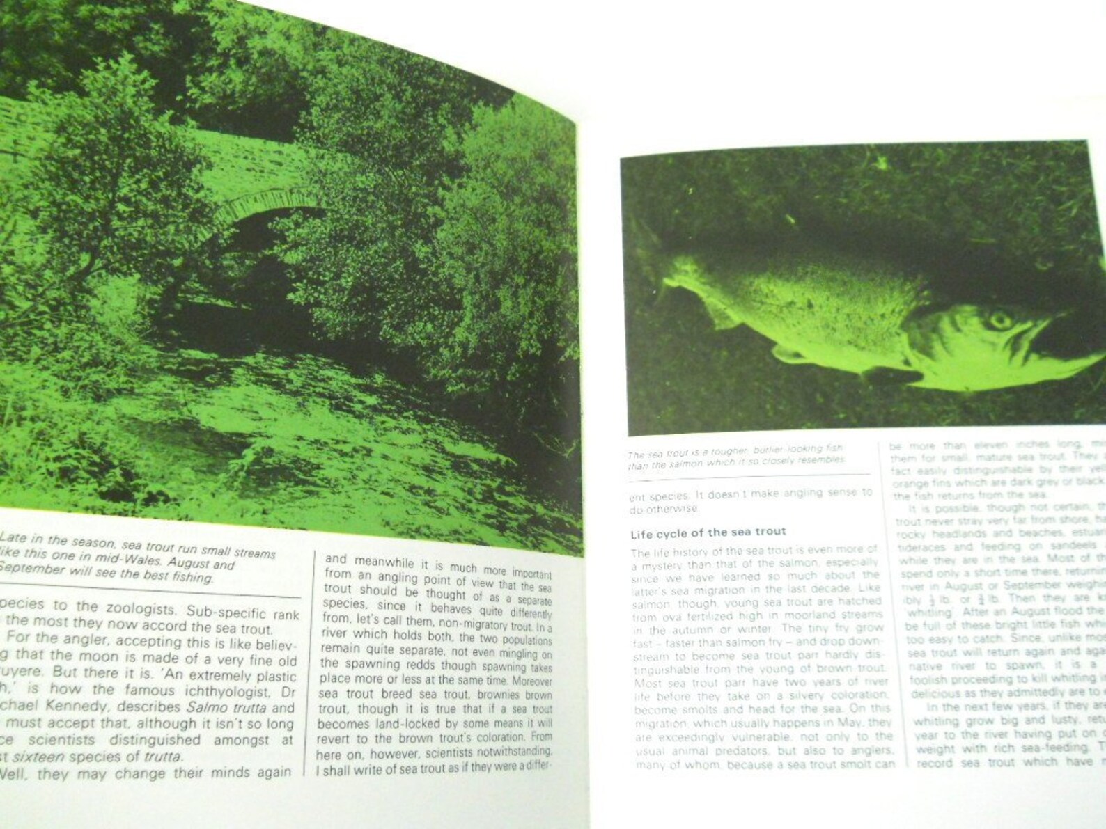 Vintage Sea Trout Hardback Book the Osprey Anglers January 1, 1974 by ...