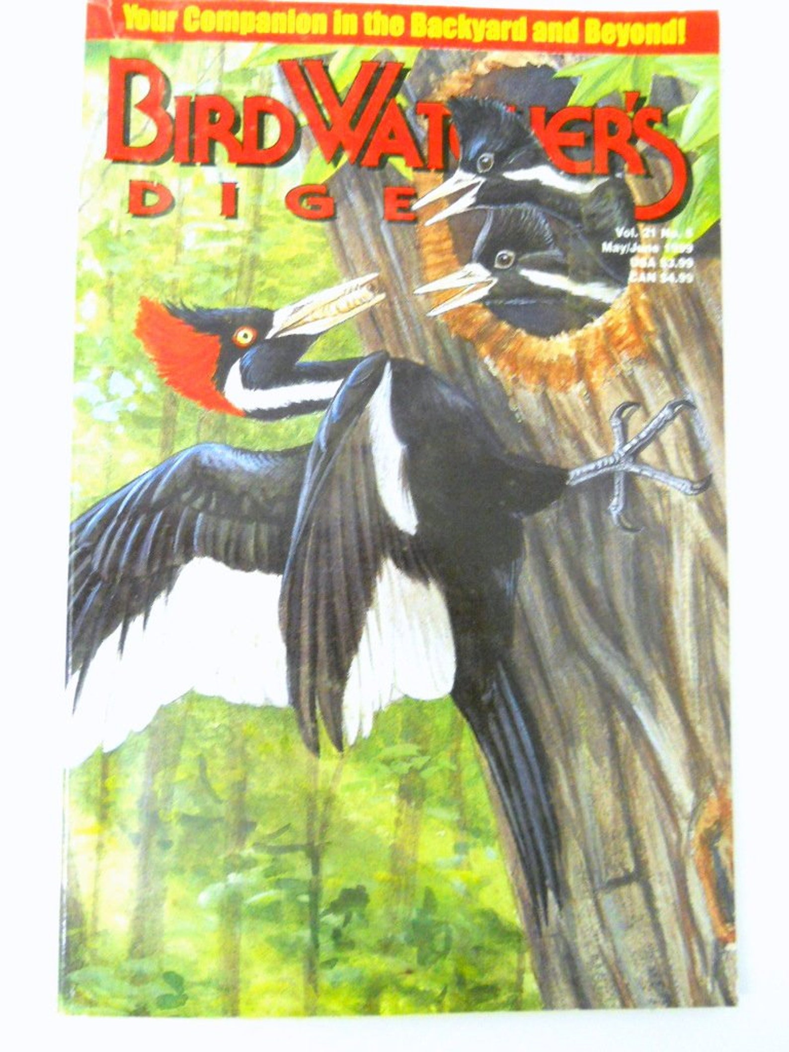 Lot of 5 Bird Watcher Digest Magazines 1989 1990 1991 and - Etsy