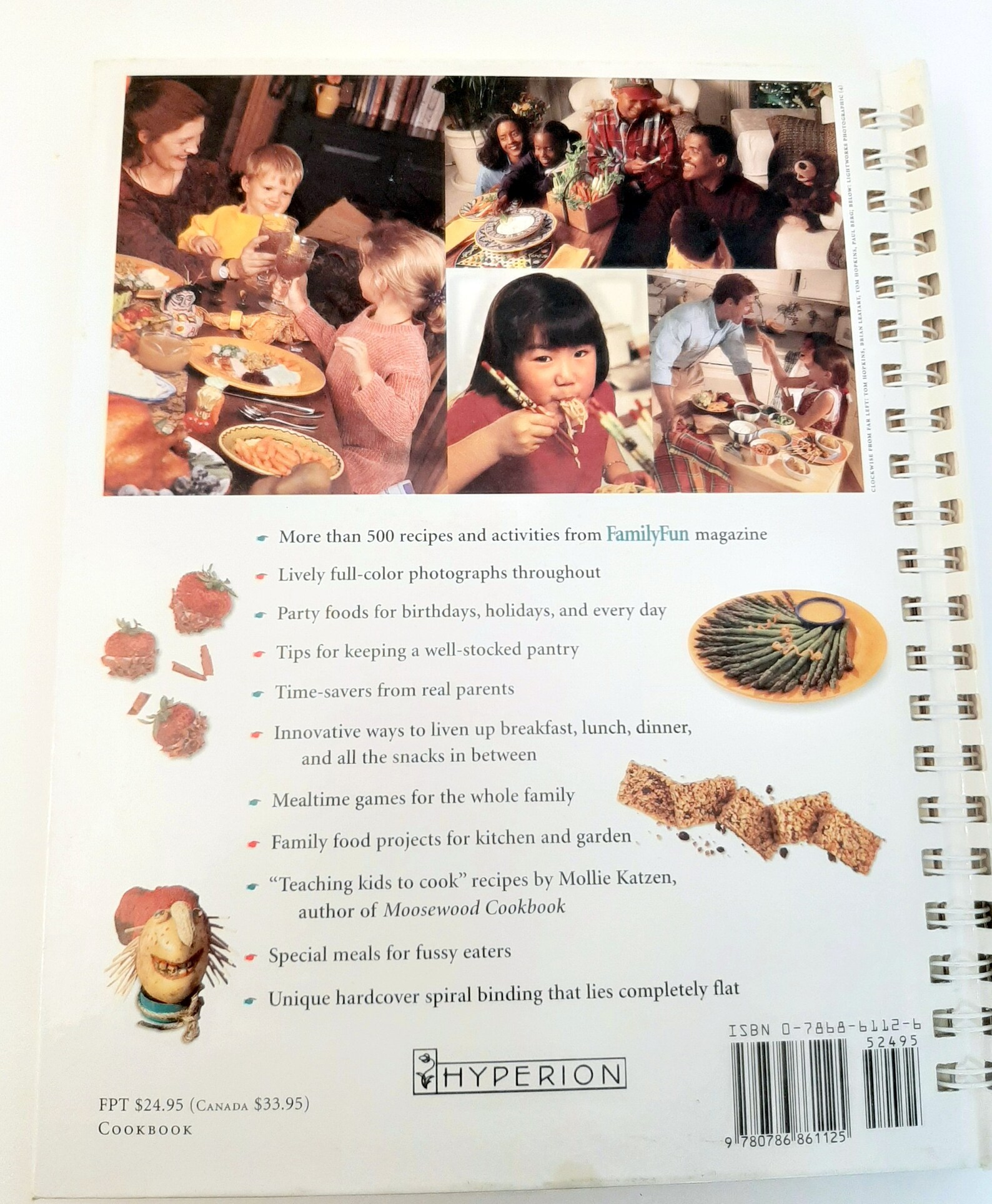 Vintage 1996 Disney Family Cookbook 1st Edition Deanna F. Cook | Etsy