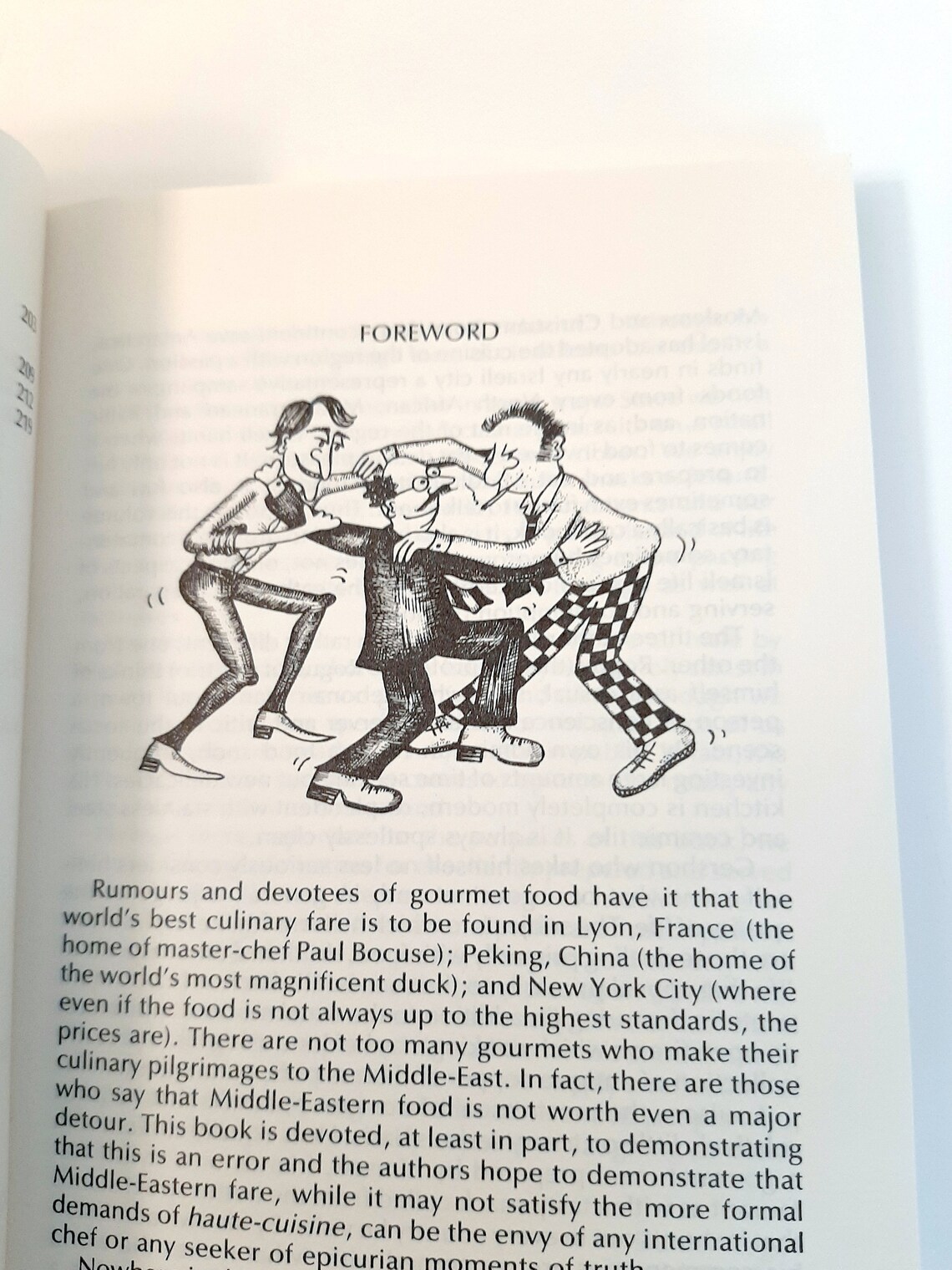 The Rogue's Guide to Israeli Cuisine Softbound Cookbook Daniel Rogov ...