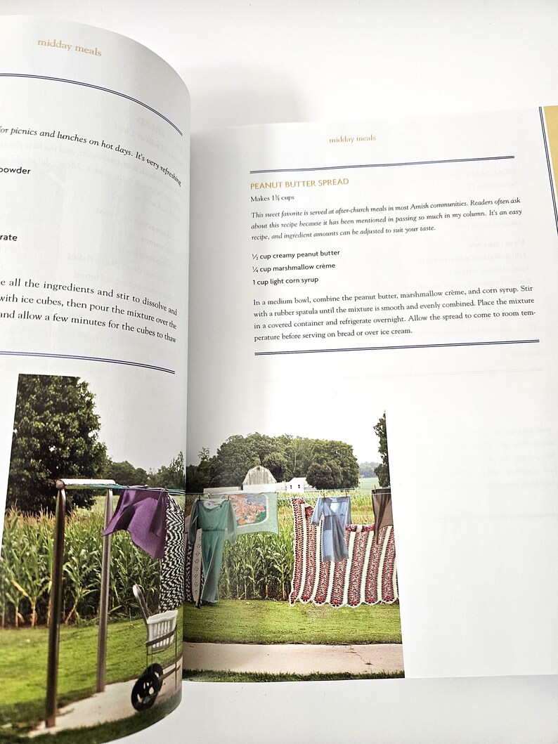 The Amish Cook's Family Favorite Recipes Hardback Cookbook Lovina ...