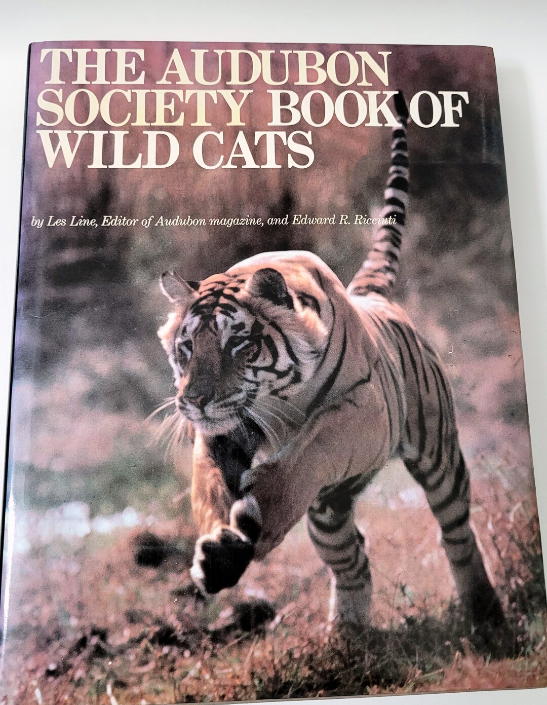 The Audubon Society Book of Wild Cats Hardback Book - Etsy