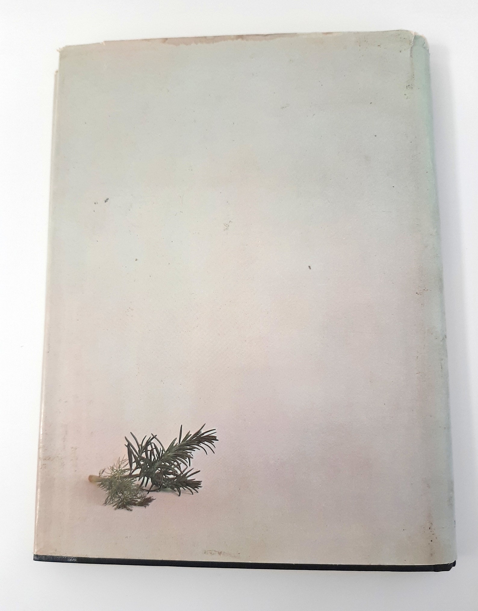 Vintage Vogue Australia Cookbook Hardback Book Compiled by Shiela ...