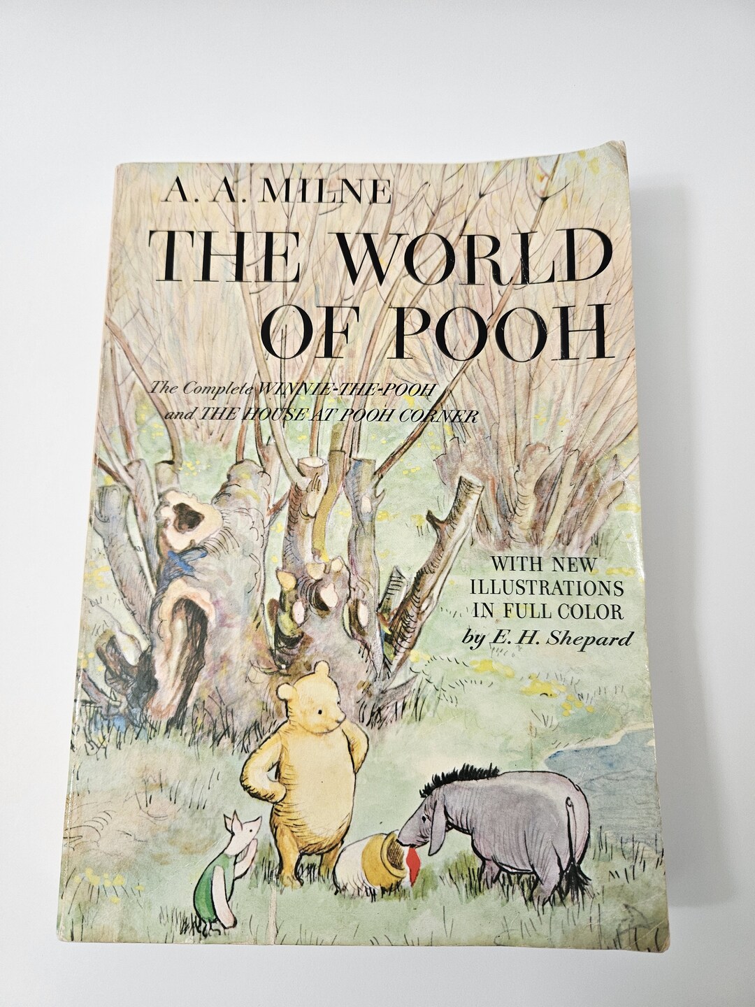 Vintage the World of Pooh Softbound Book by A.A. Milne Illustrated by E ...