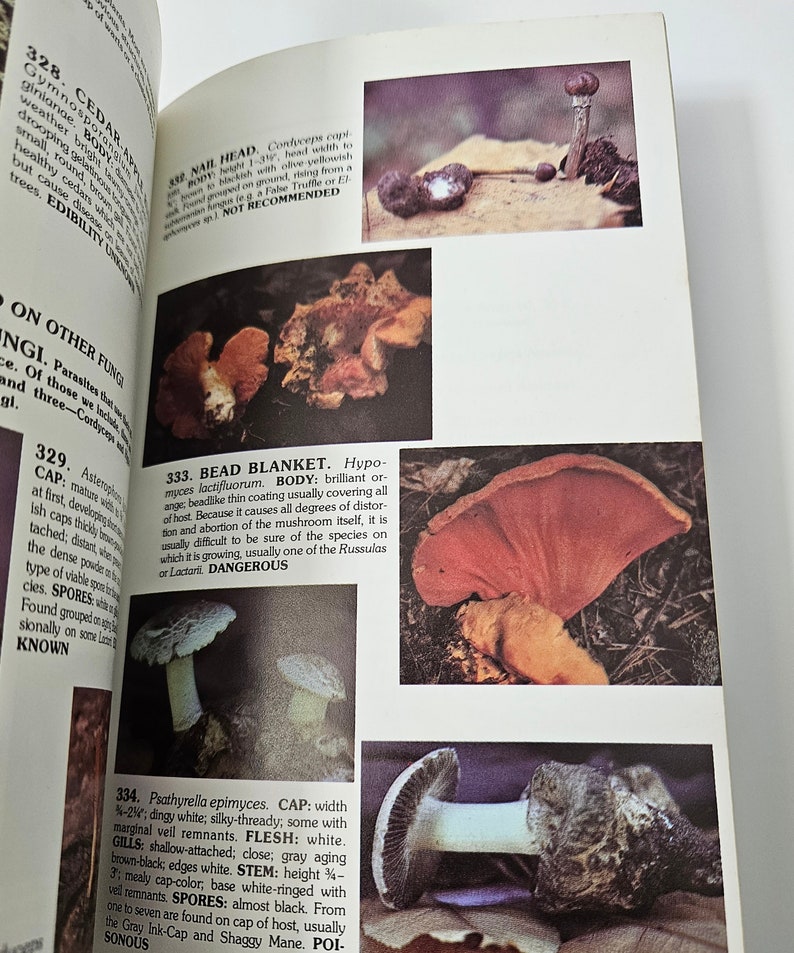 Vintage A Field Guide to Mushrooms and Their Relatives Softbound Book ...