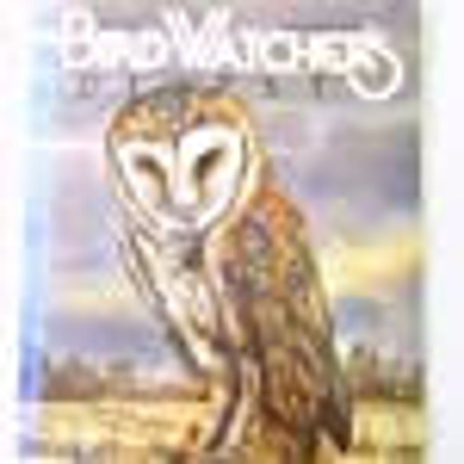Lot of 5 Bird Watcher Digest Magazines 1989 1990 1991 and - Etsy
