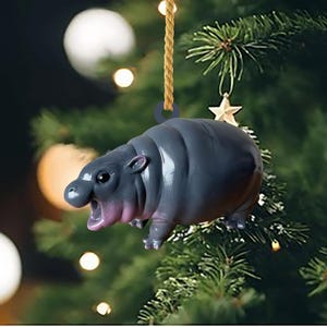 Cute Baby Hippo Moo Deng 2D Flat Ornament Adorable Pygmy Hippo ...