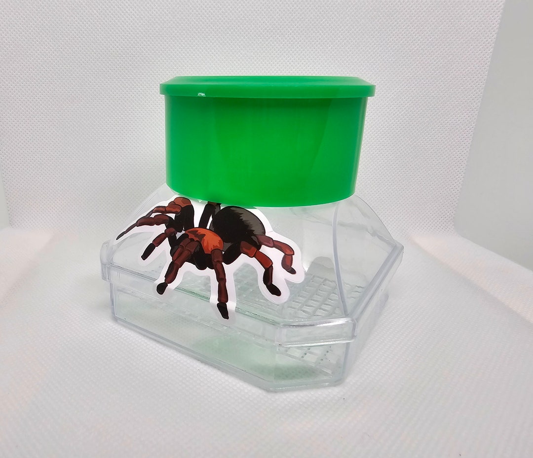 Spider Viewer/magnifier - Etsy