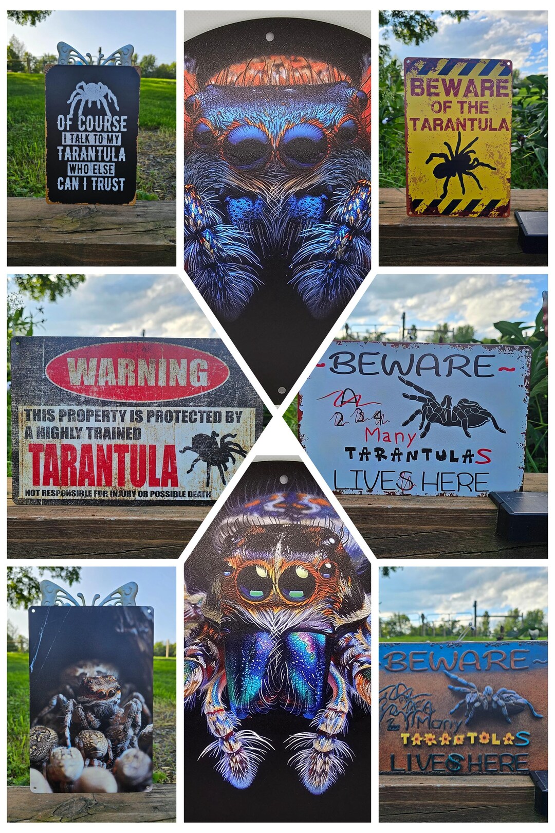 Spider Tin Signs multiple Styles - Etsy