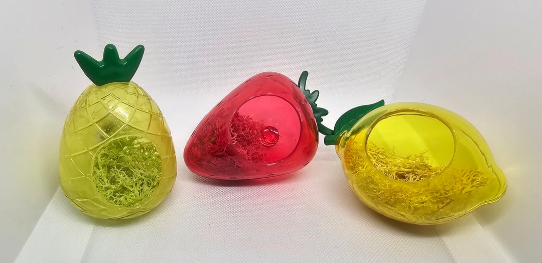 Large Fruit Hides strawberry, Pineapple, Lemon - Etsy