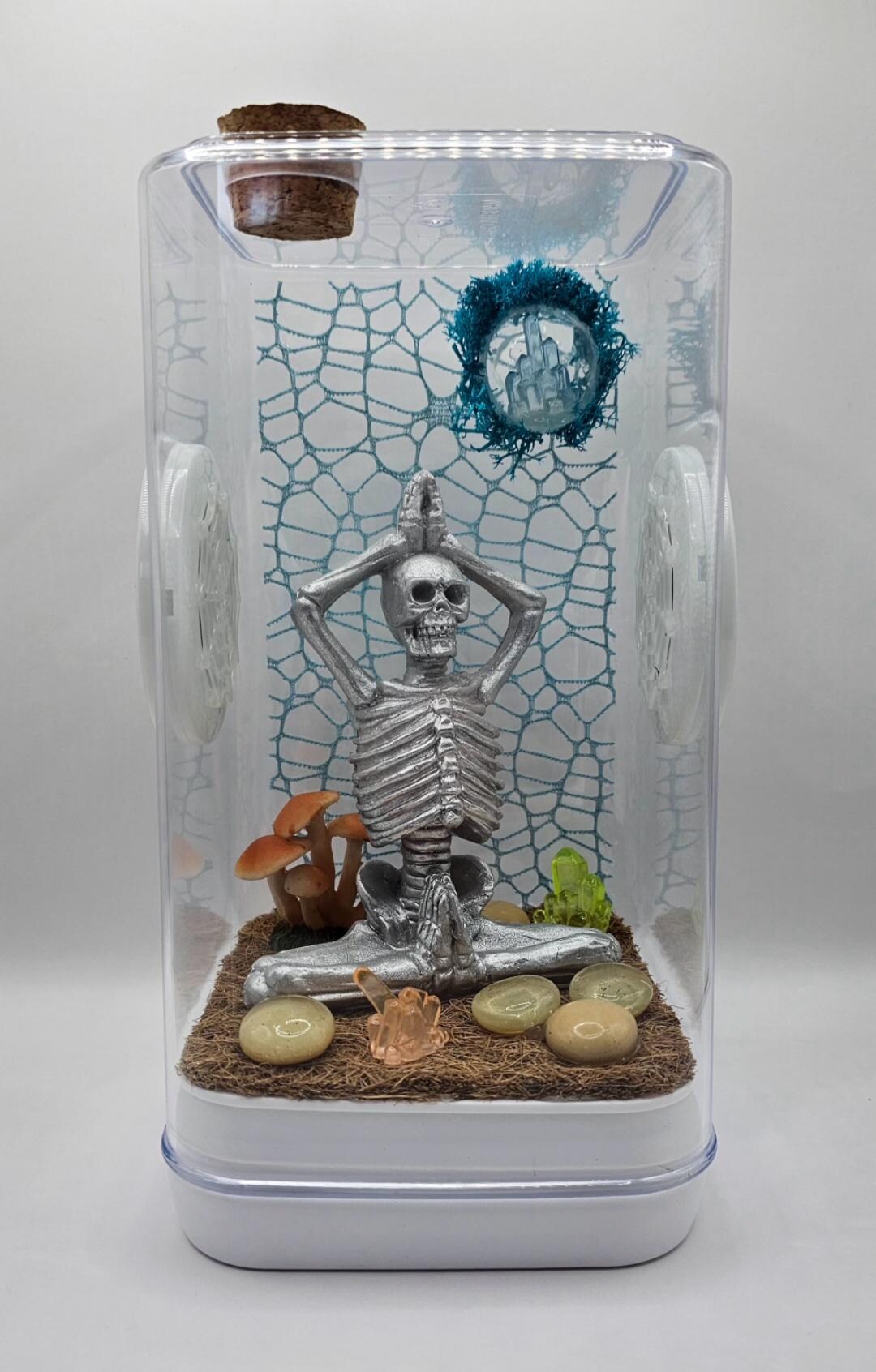 Yoga Skeleton Jumping Spider/mantis Enclosure - Etsy